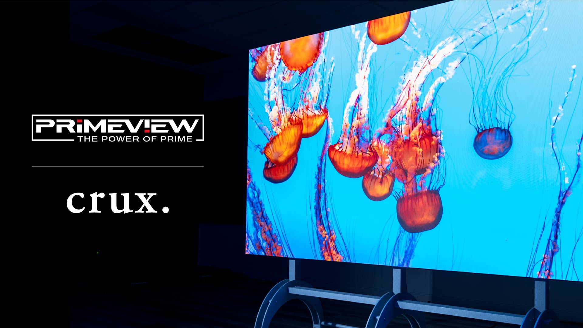 Primeview Partners with Crux to Grow Global Brand and Launch Breakthrough Solutions - Primeview ...